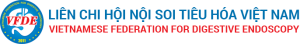 VFDE – Liên chi hội nội soi tiêu hóa Việt Nam
